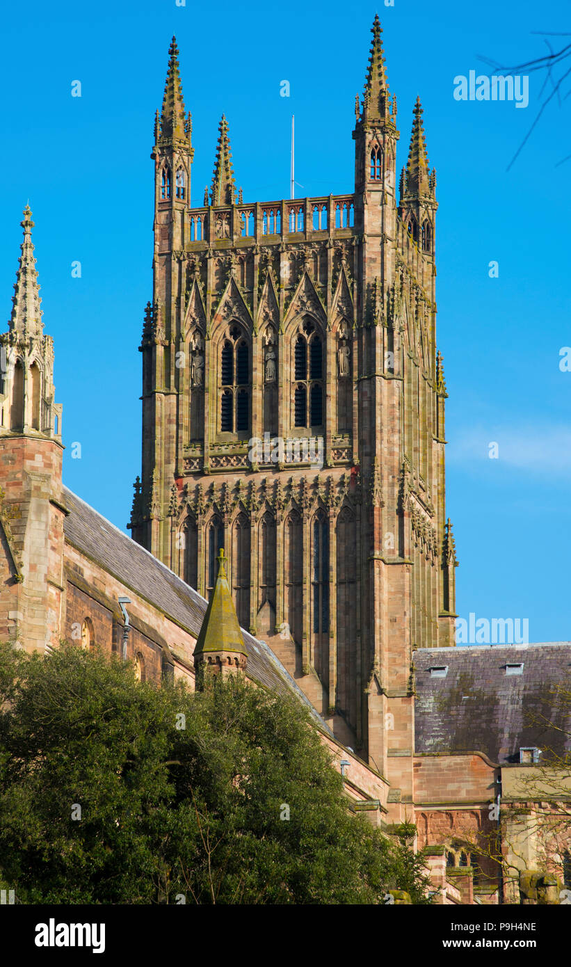 Worcester cathedral crypt hi-res stock photography and images - Alamy