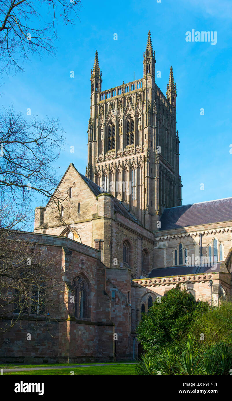 Worcester Cathedral, Worcester, England, Europe Stock Photo - Alamy