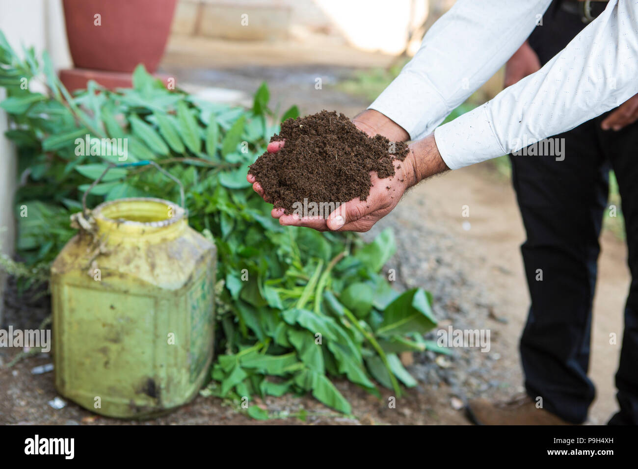 Composting conditions hi-res stock photography and images - Alamy