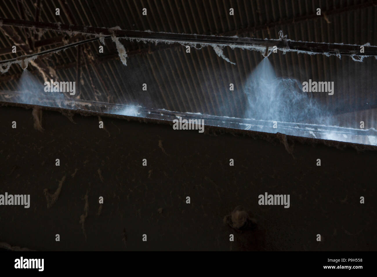 Cotton production hi-res stock photography and images - Alamy