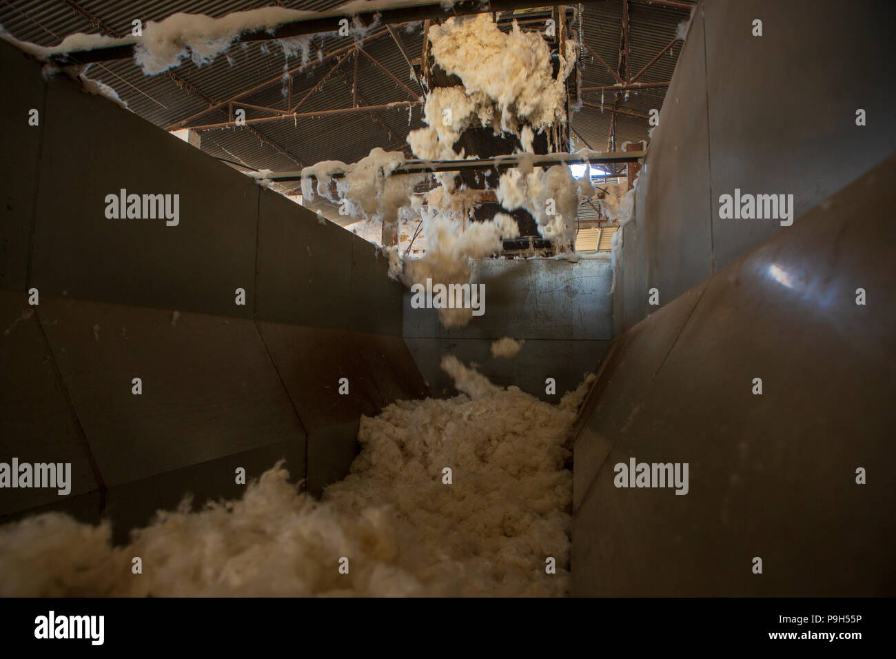 Ginned Cotton High Resolution Stock Photography and Images - Alamy