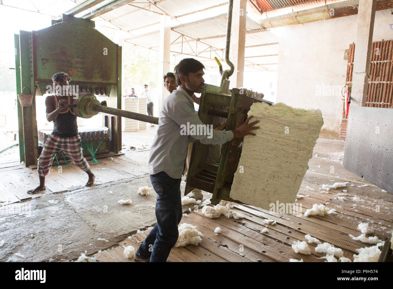Cotton being ginned at a ginners in Madhya Pradesh, India Stock Photo ...