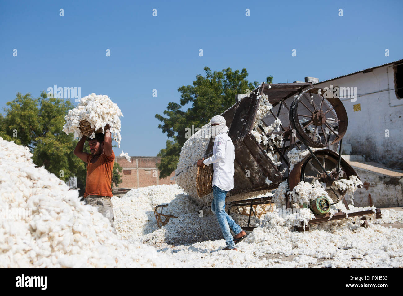 Cotton ginners hi-res stock photography and images - Alamy