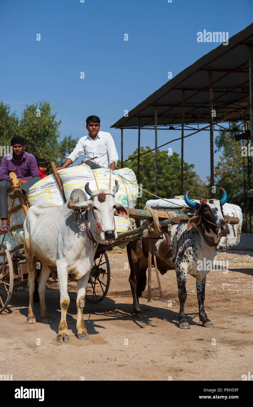 Cotton ginning hi-res stock photography and images - Alamy