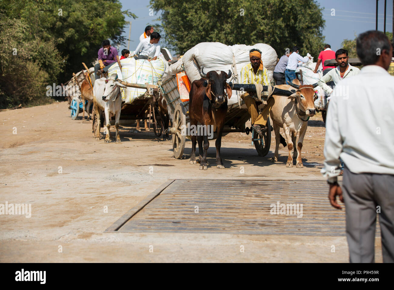 Cotton ginning hi-res stock photography and images - Alamy