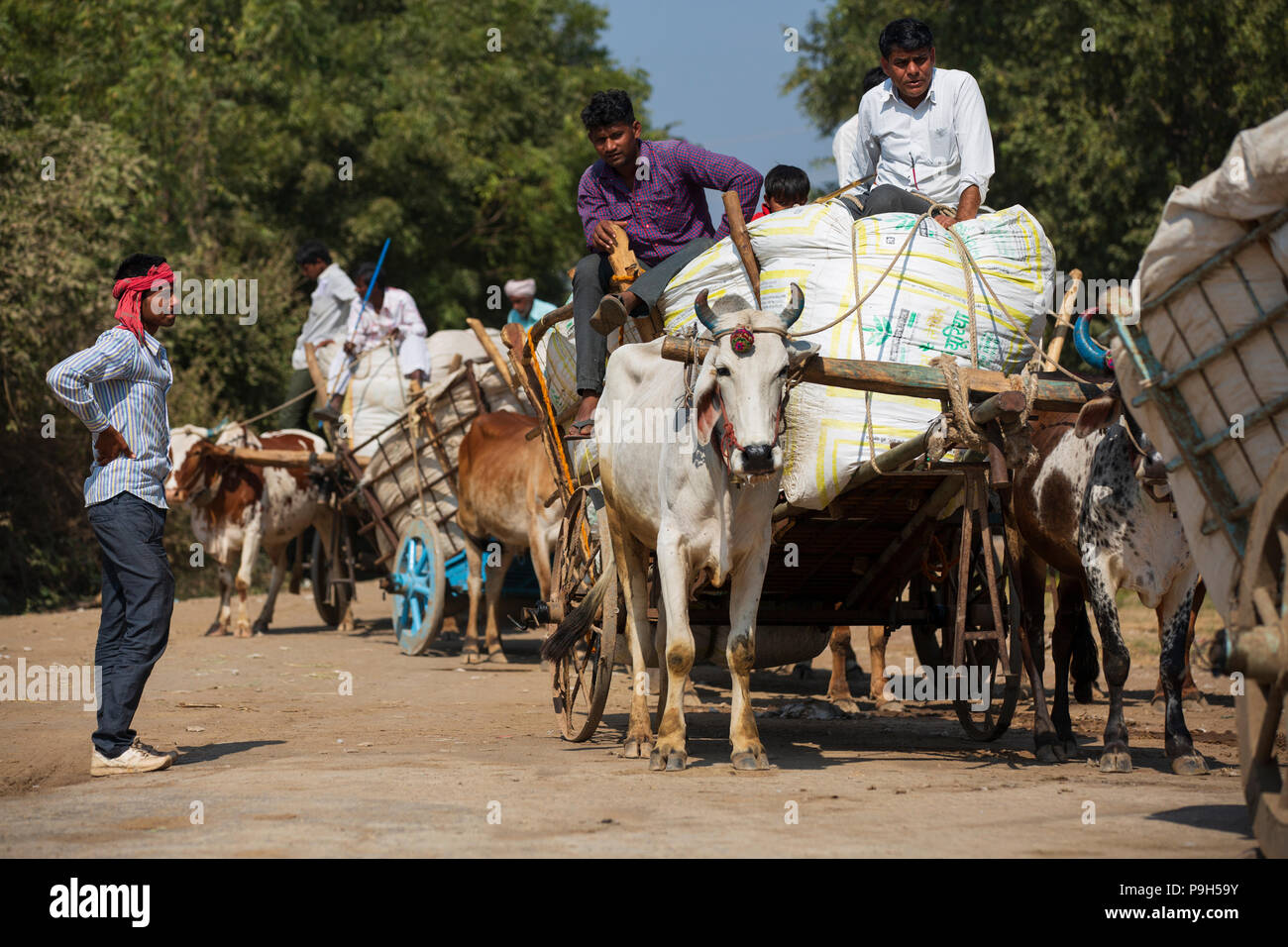 Cotton ginning hi-res stock photography and images - Alamy
