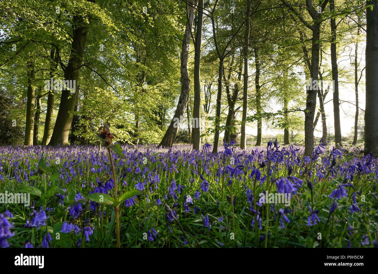 Beautiful unspoilt countryside hi-res stock photography and images - Alamy
