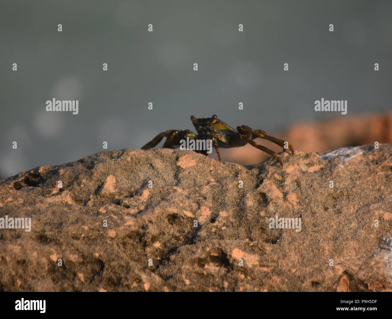 Rust colored rocks hi-res stock photography and images - Alamy