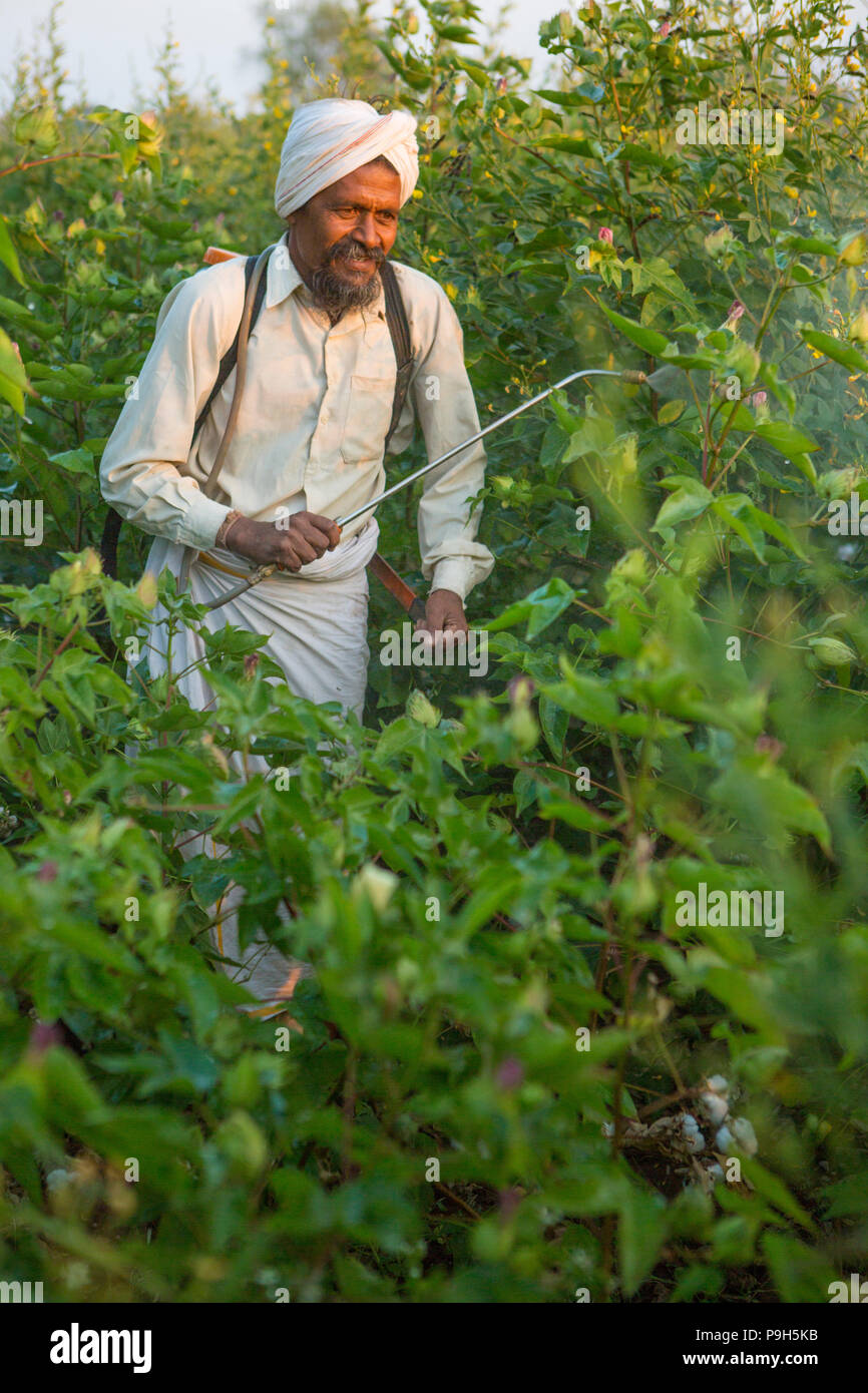 Spraying Insecticides At Home