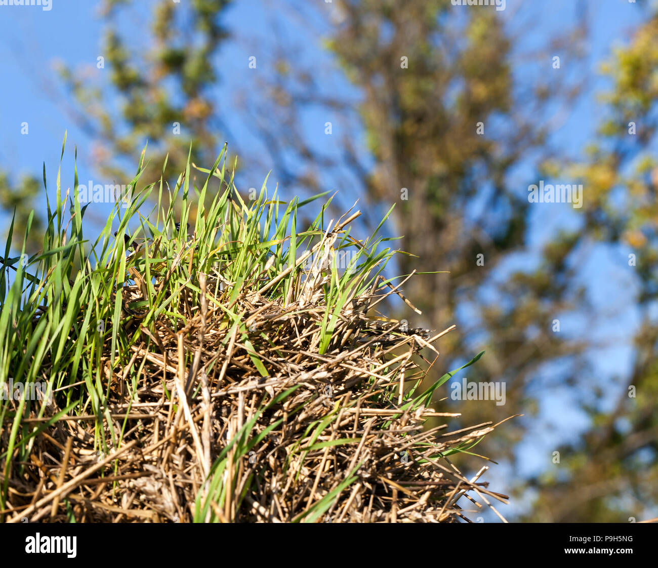Cylindrical stack hi-res stock photography and images - Alamy