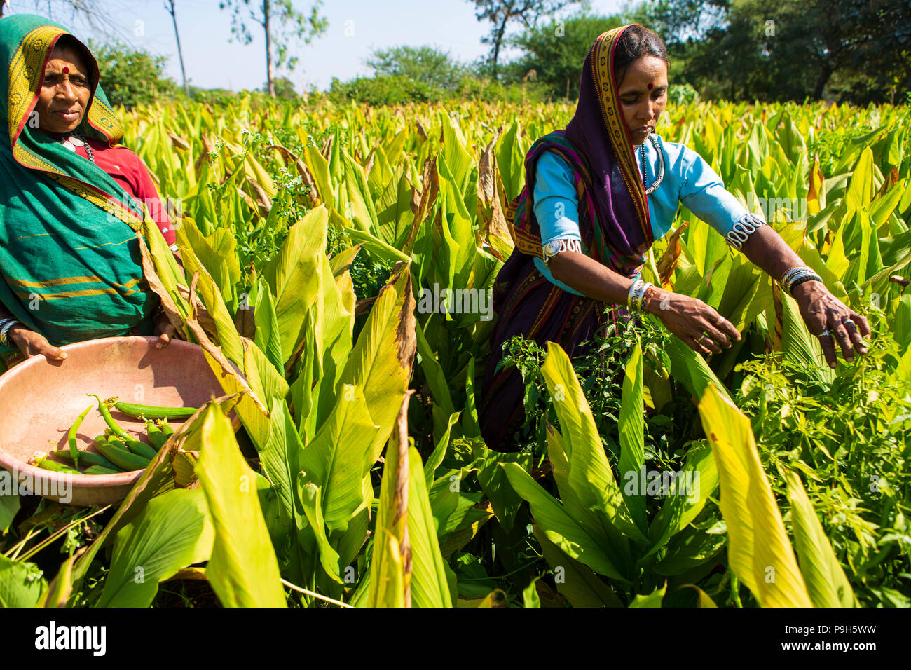 Sendhwa hi-res stock photography and images - Alamy