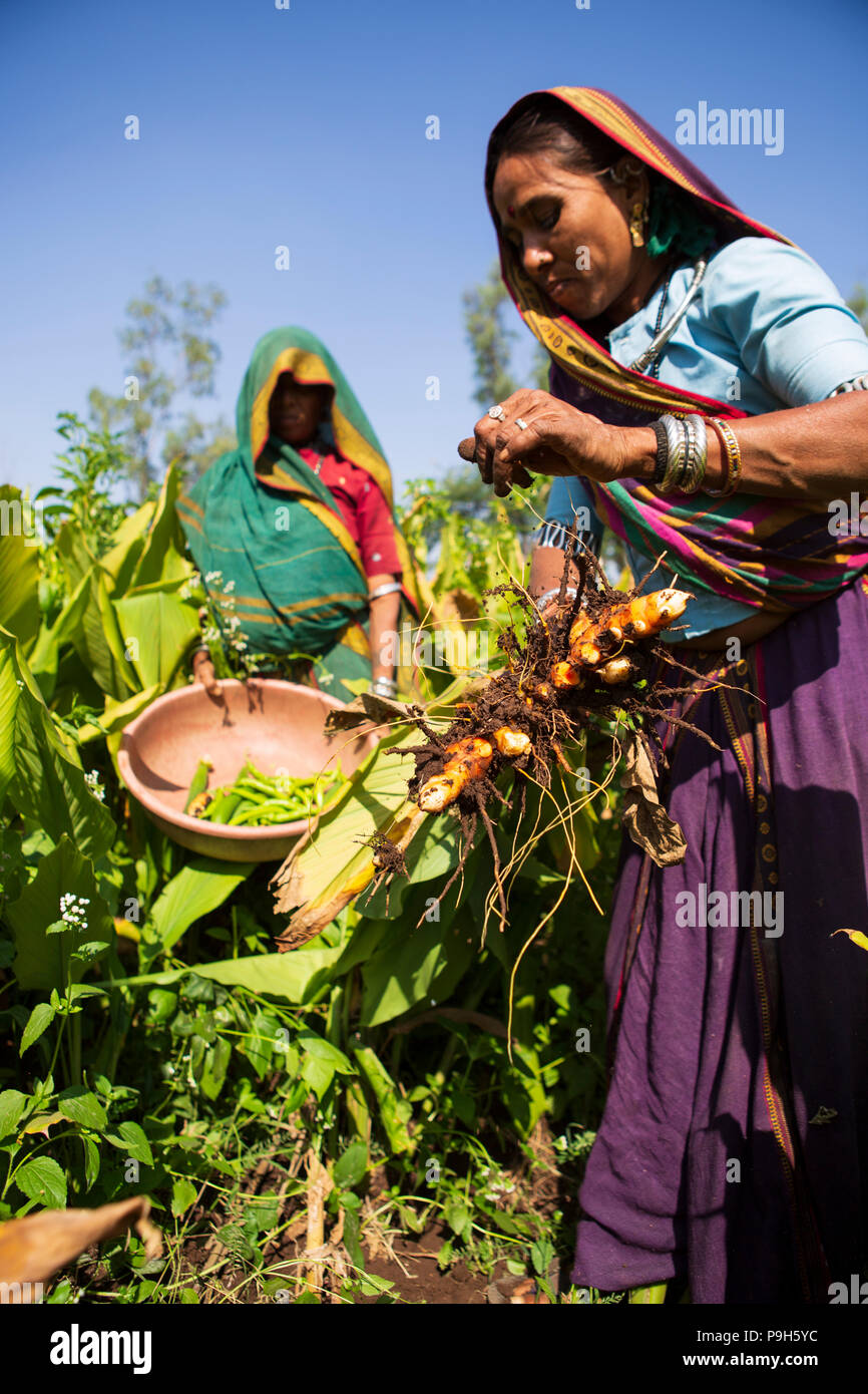 Female vegetables hi-res stock photography and images - Alamy