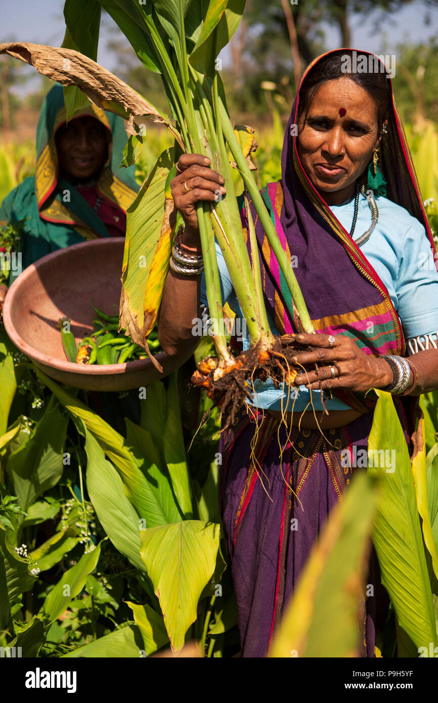 Sendhwa hi-res stock photography and images - Alamy