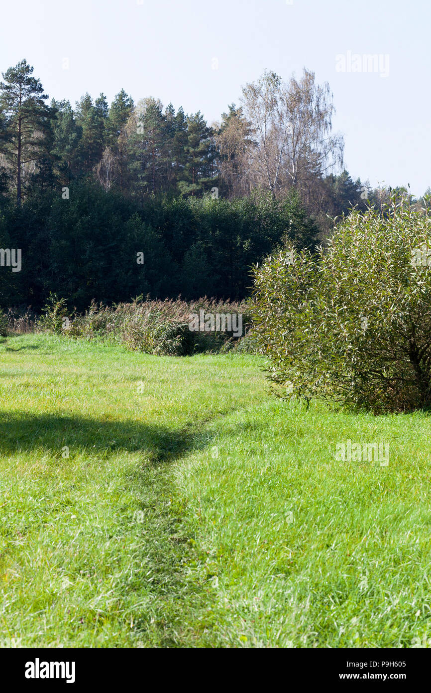 Trampled grass hi-res stock photography and images - Alamy