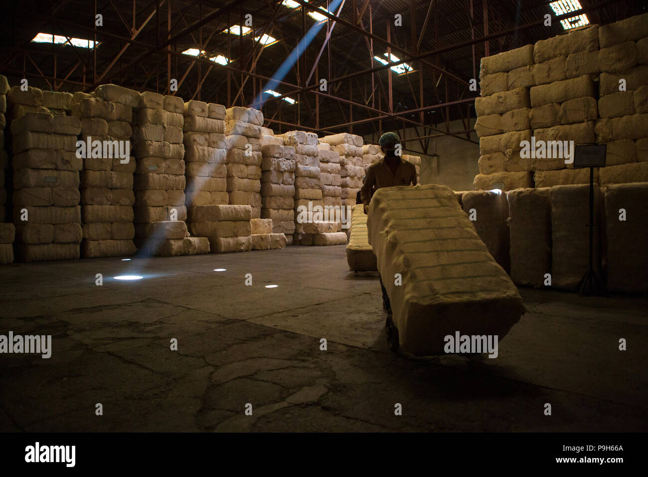 Bio Cotton being stored in a warehouse at a garment factory, where ...