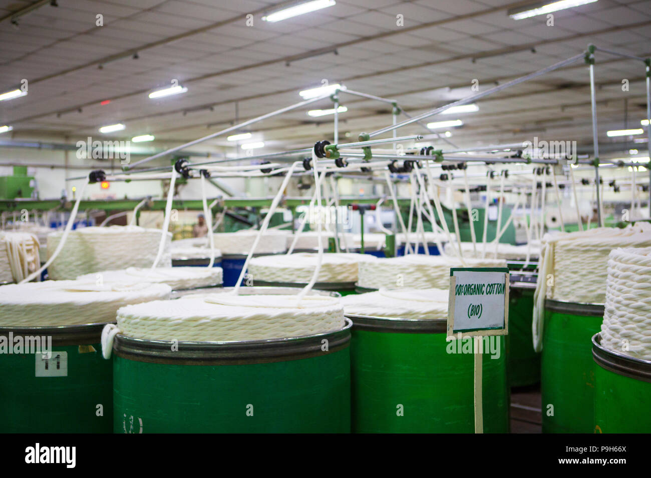 Organic cotton being spun at a garment factory, where organic cotton is ...