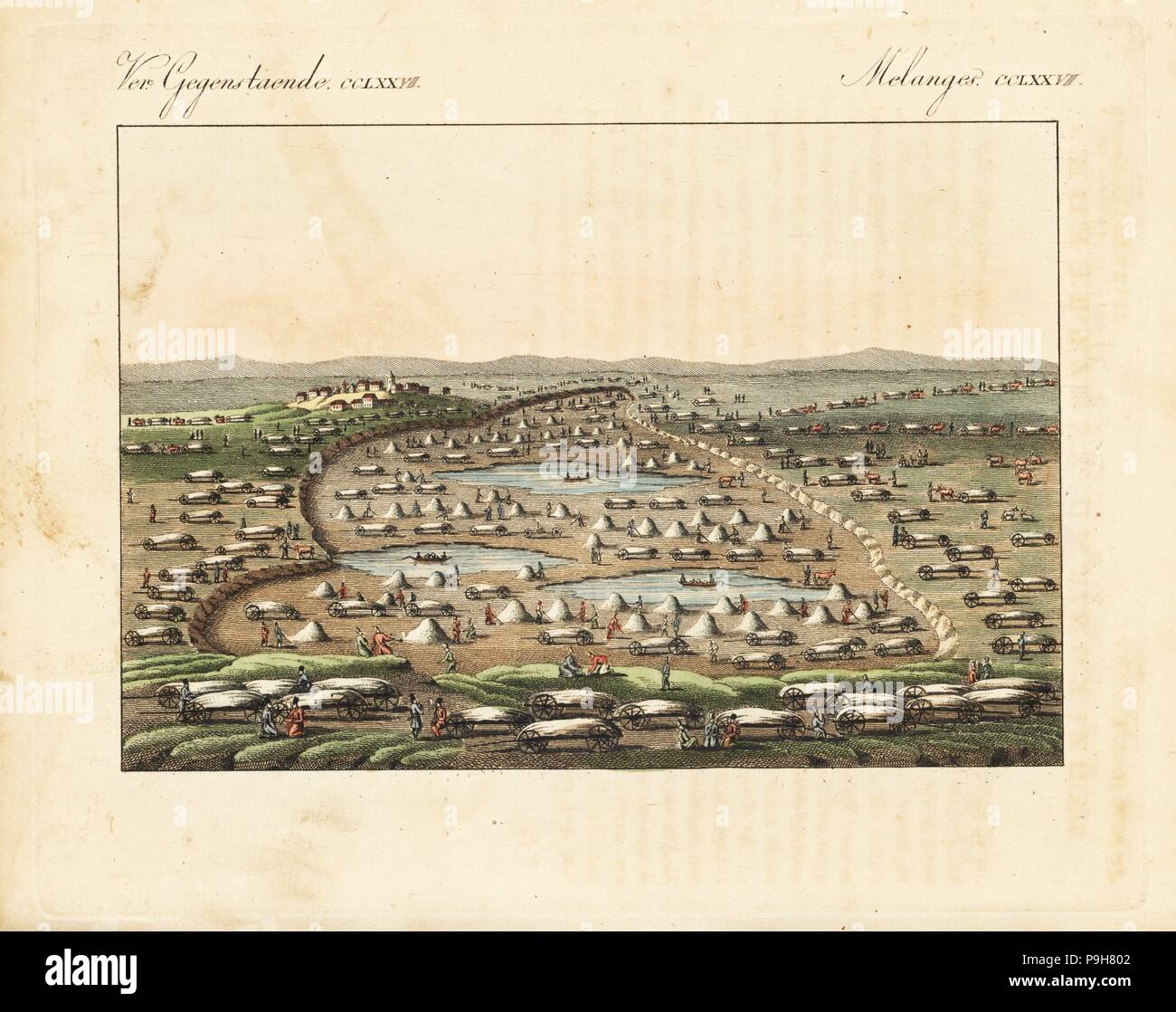 Workers harvesting pink salt from the salt lakes near Perekop, Crimea ...