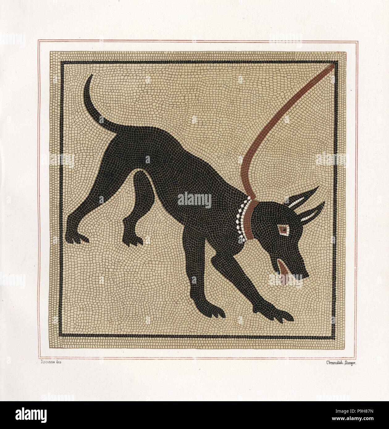 Mosaic of a dog from the porter's threshold in the House of Vesonius ...