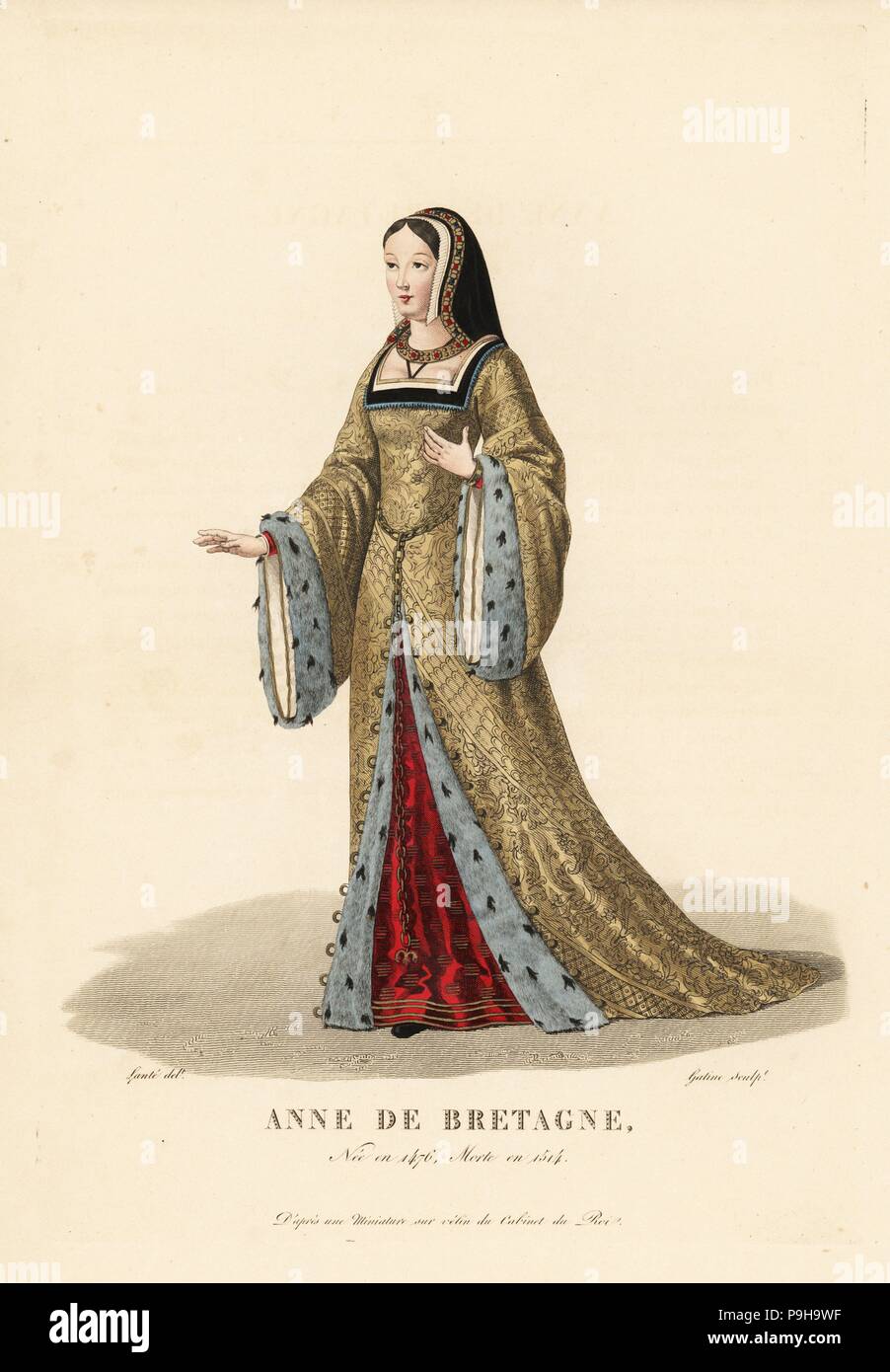 Royal robe ermine hi-res stock photography and images - Alamy