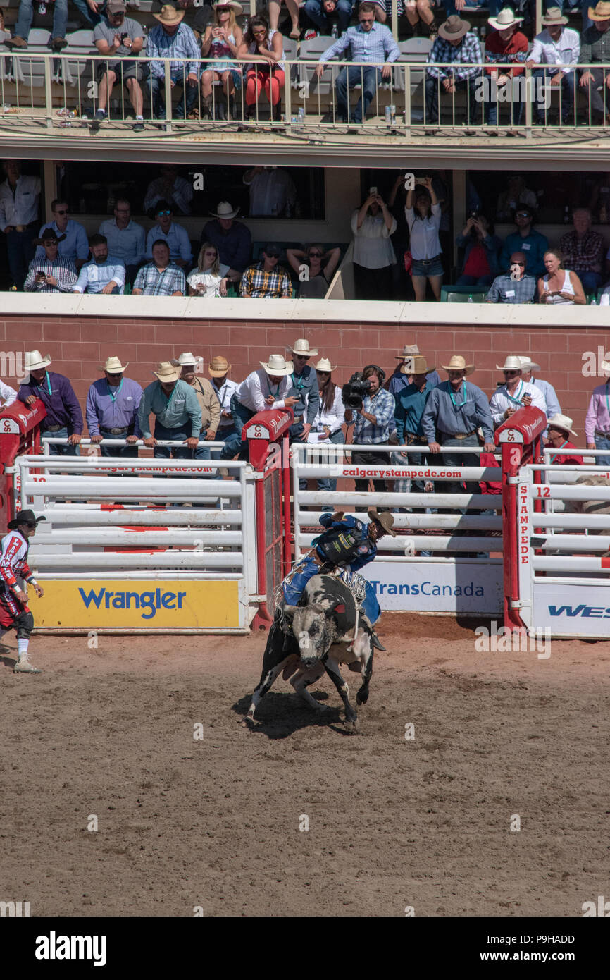 Cattle Stock Signage High Resolution Stock Photography and Images - Alamy