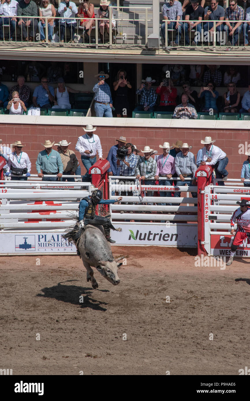 Cattle Stock Signage High Resolution Stock Photography and Images - Alamy