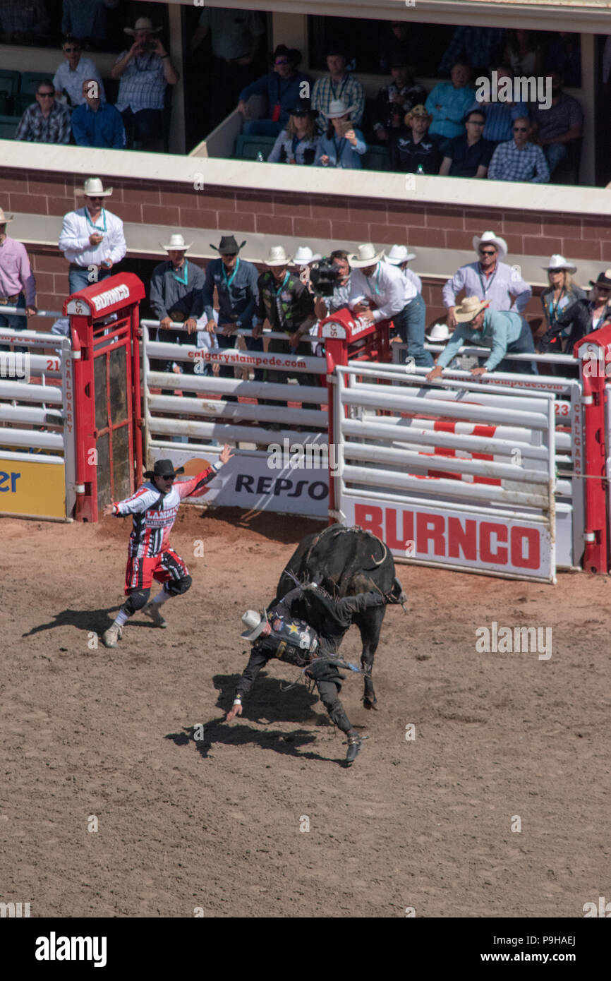 Cattle stock signage hi-res stock photography and images - Alamy