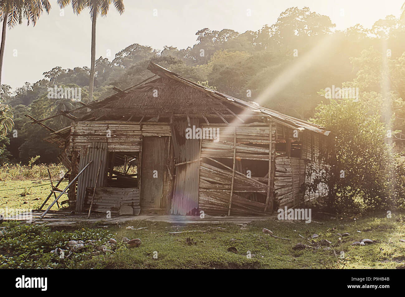 Rustic old shack in the jungle rainforest in South East Asia. Destroyed ...