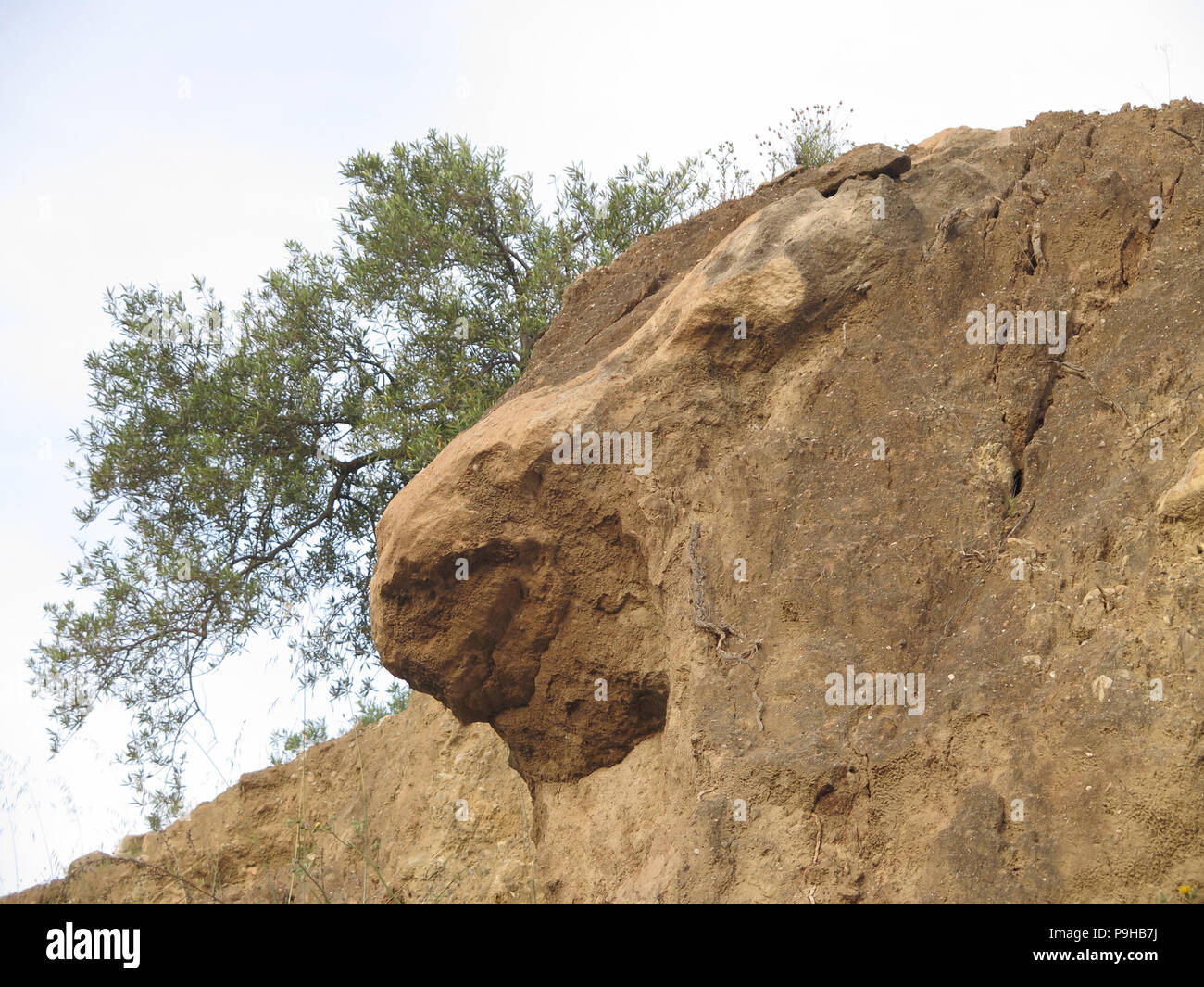 Rock face with big nose on roadside embankment near Andalusian Village ...