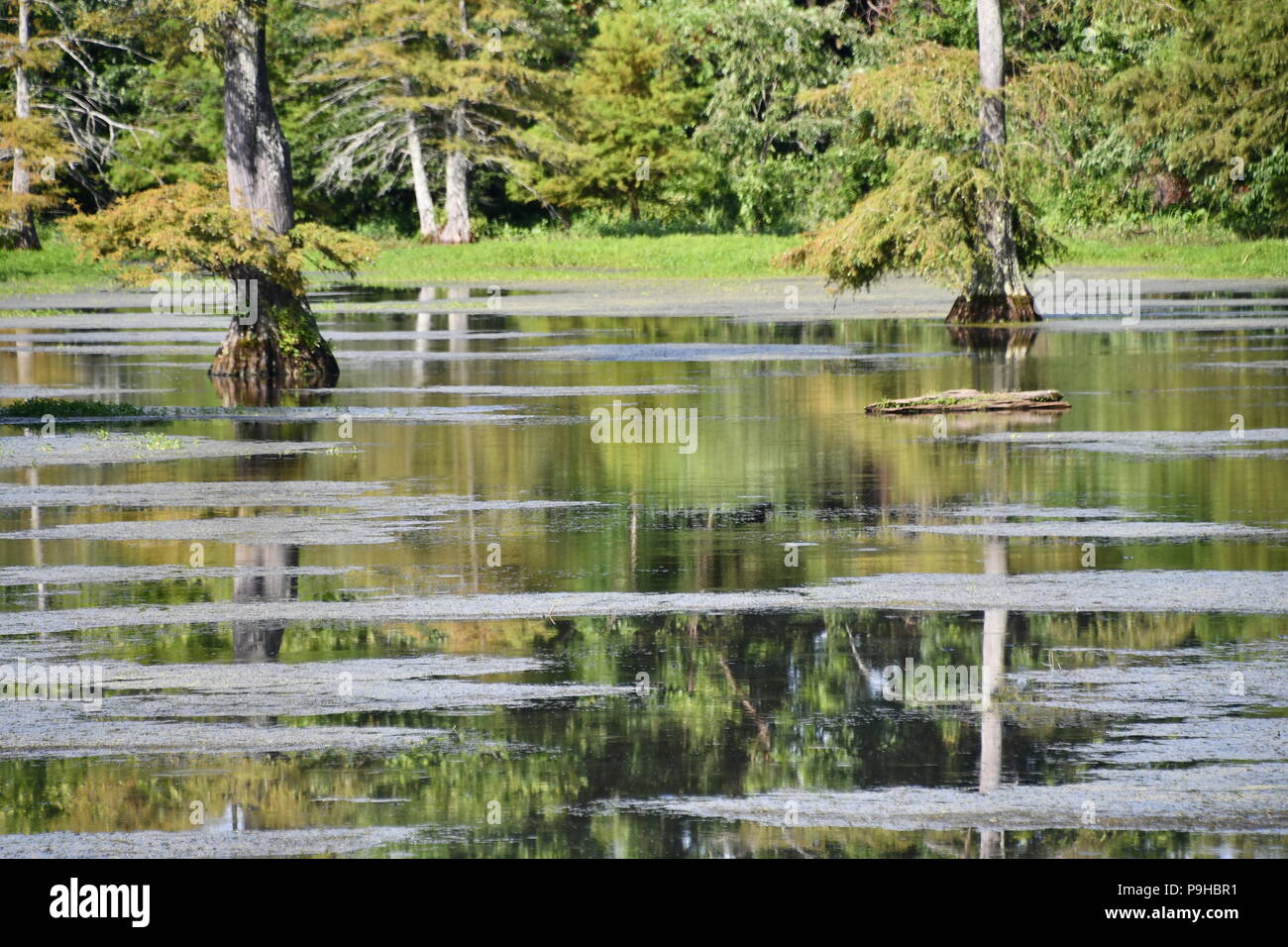 beautiful landscapes, low land Stock Photo - Alamy