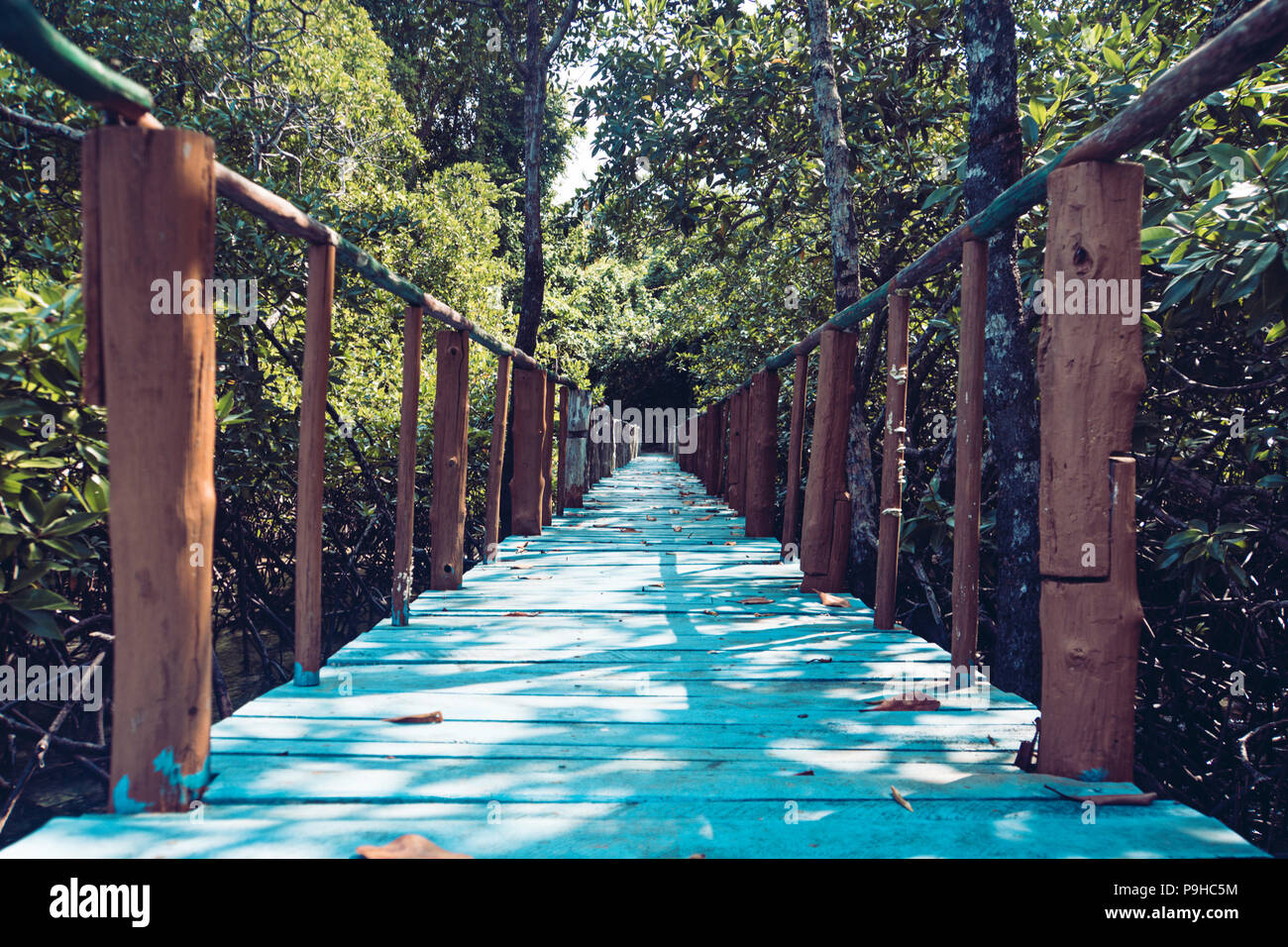 Wooden Bridge Over Swamp Stock Photos & Wooden Bridge Over Swamp Stock ...