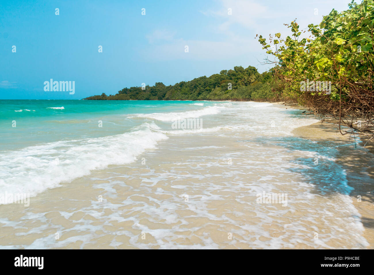 Foliage on a tropical beach. Fantastically beautiful tropical landscape ...