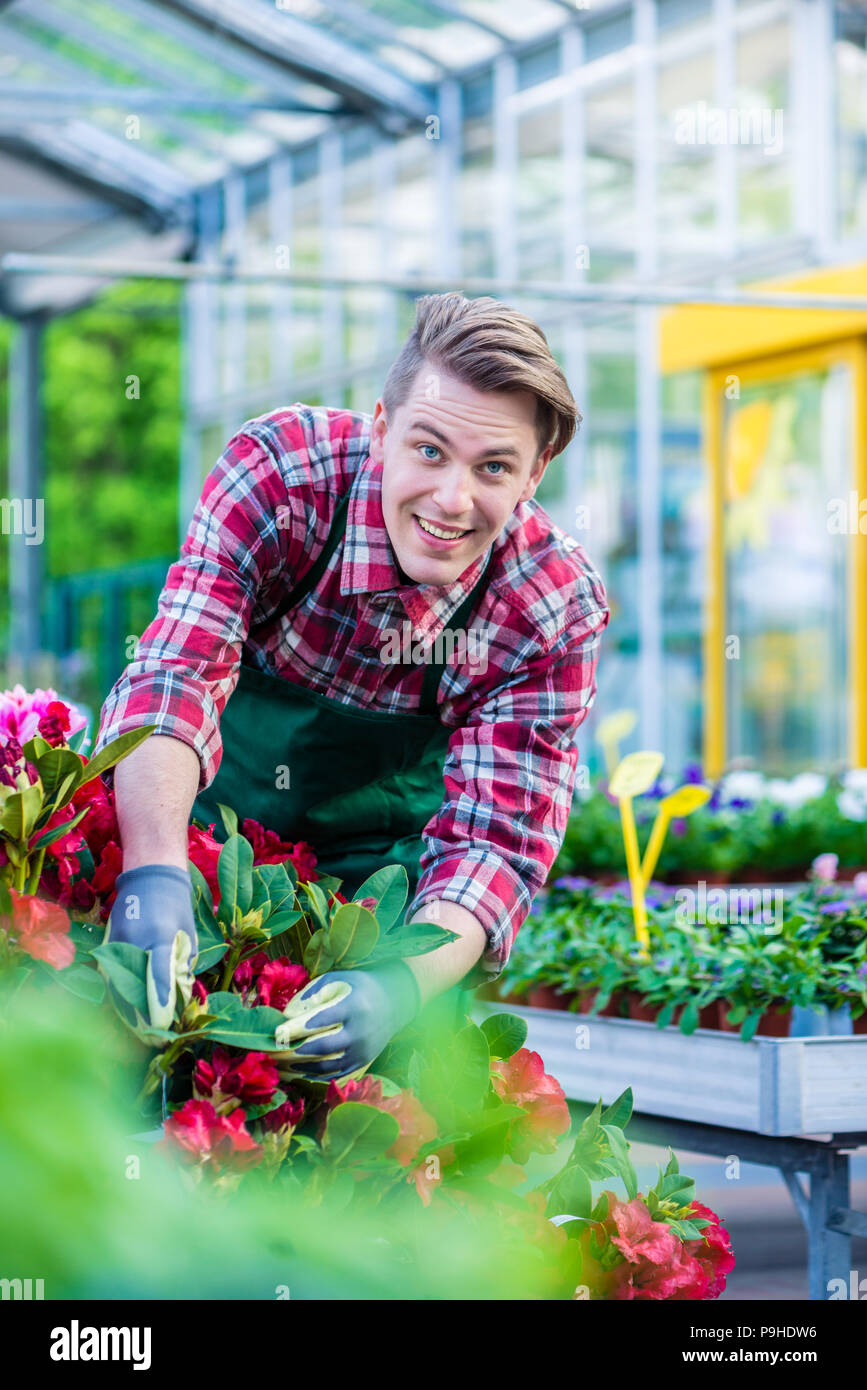 Houseplants in modern flower hi-res stock photography and images - Alamy