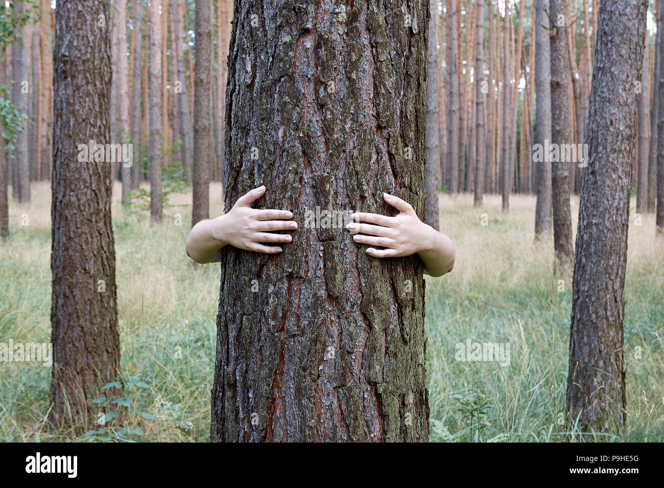Environmentalist hugging tree hi-res stock photography and images - Alamy