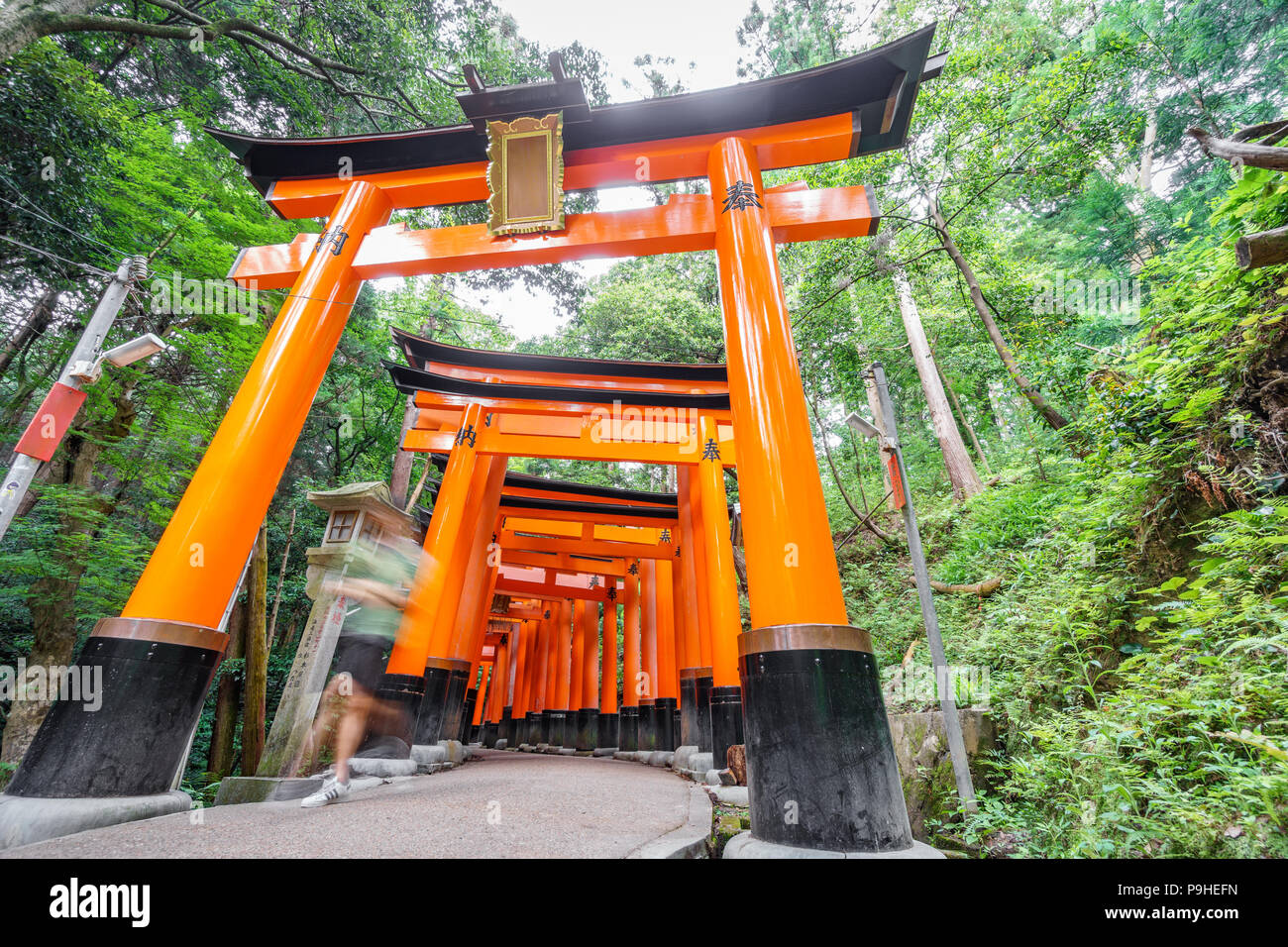 Tori gates hi-res stock photography and images - Alamy