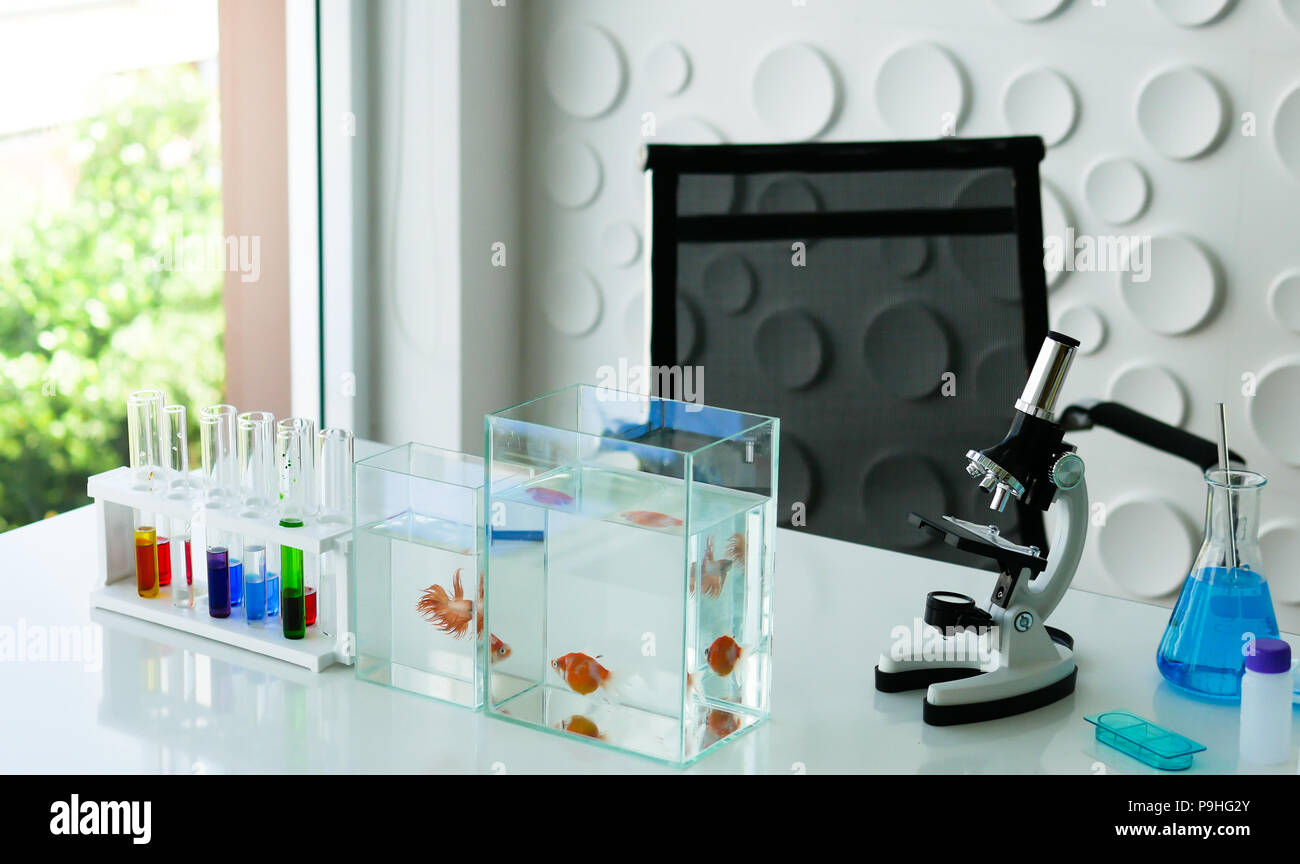 Many of glassware science laboratory on the table concept in the room ...