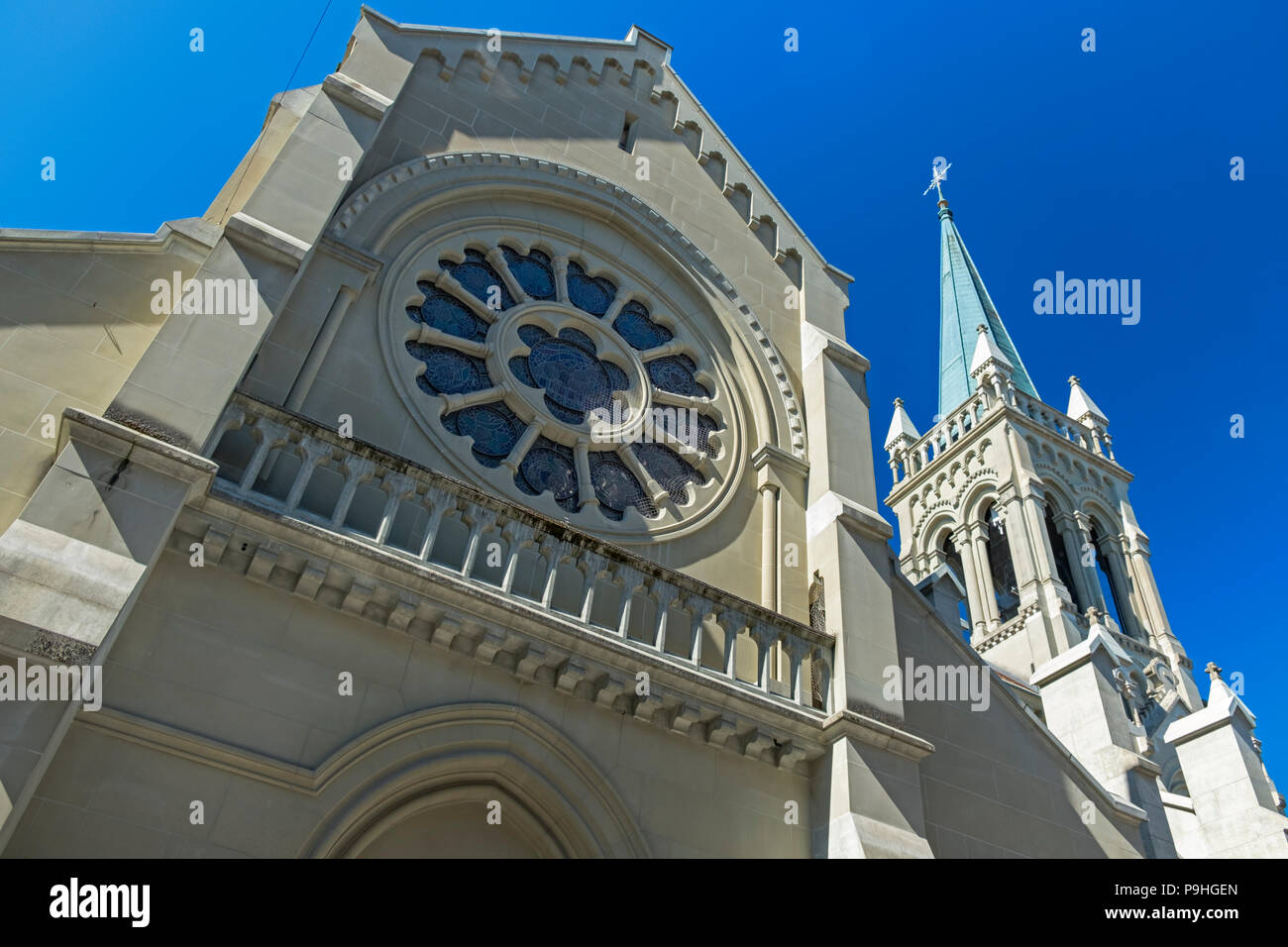 St bern hi-res stock photography and images - Alamy