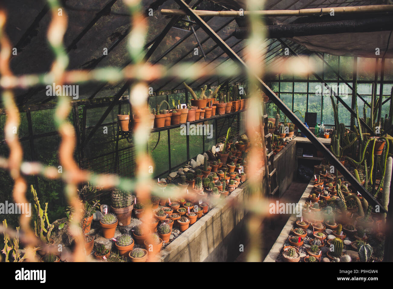 Hidden view hi-res stock photography and images - Alamy