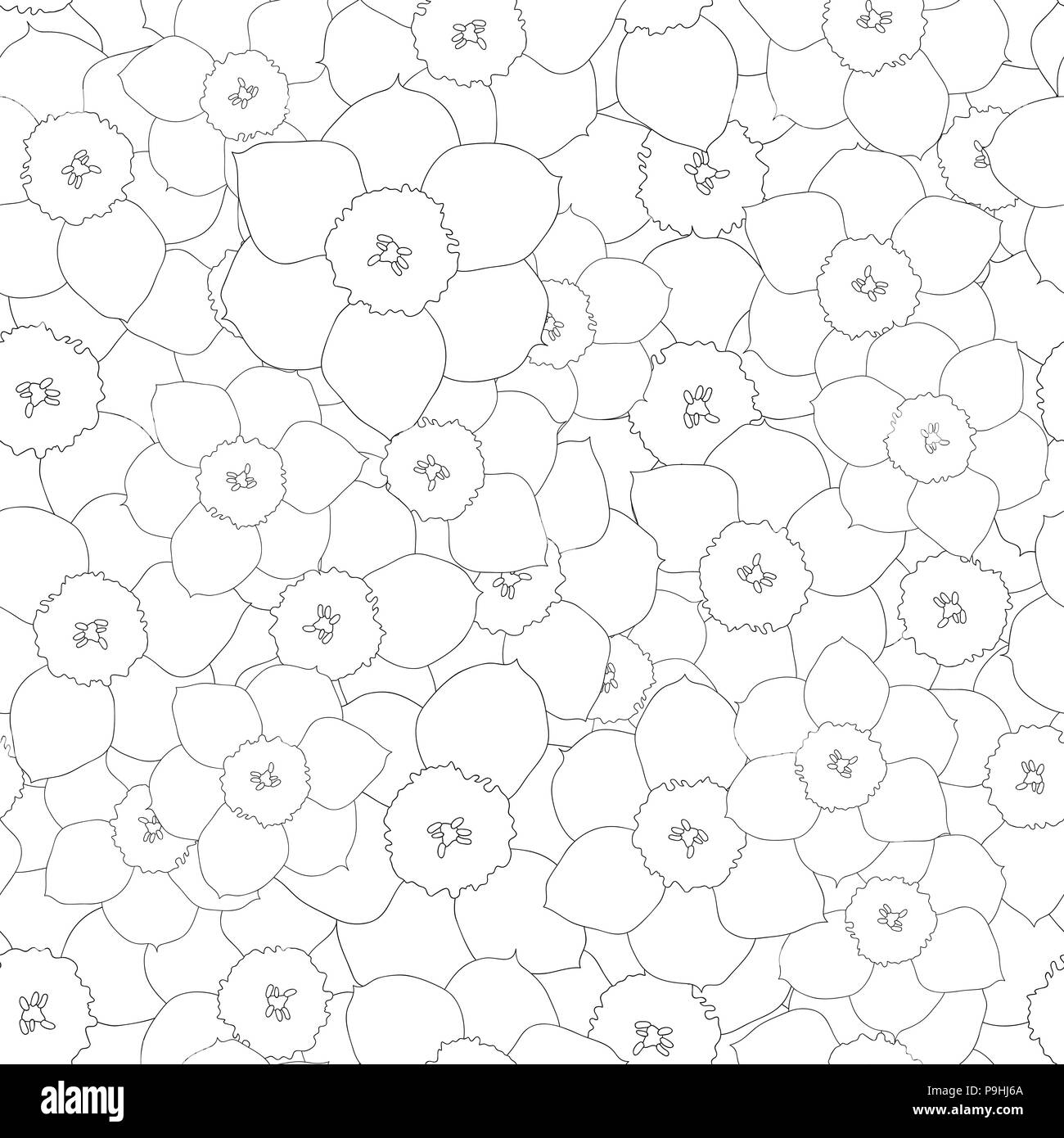 Daffodil - Narcissus Outline Seamless Background. Vector Illustration ...