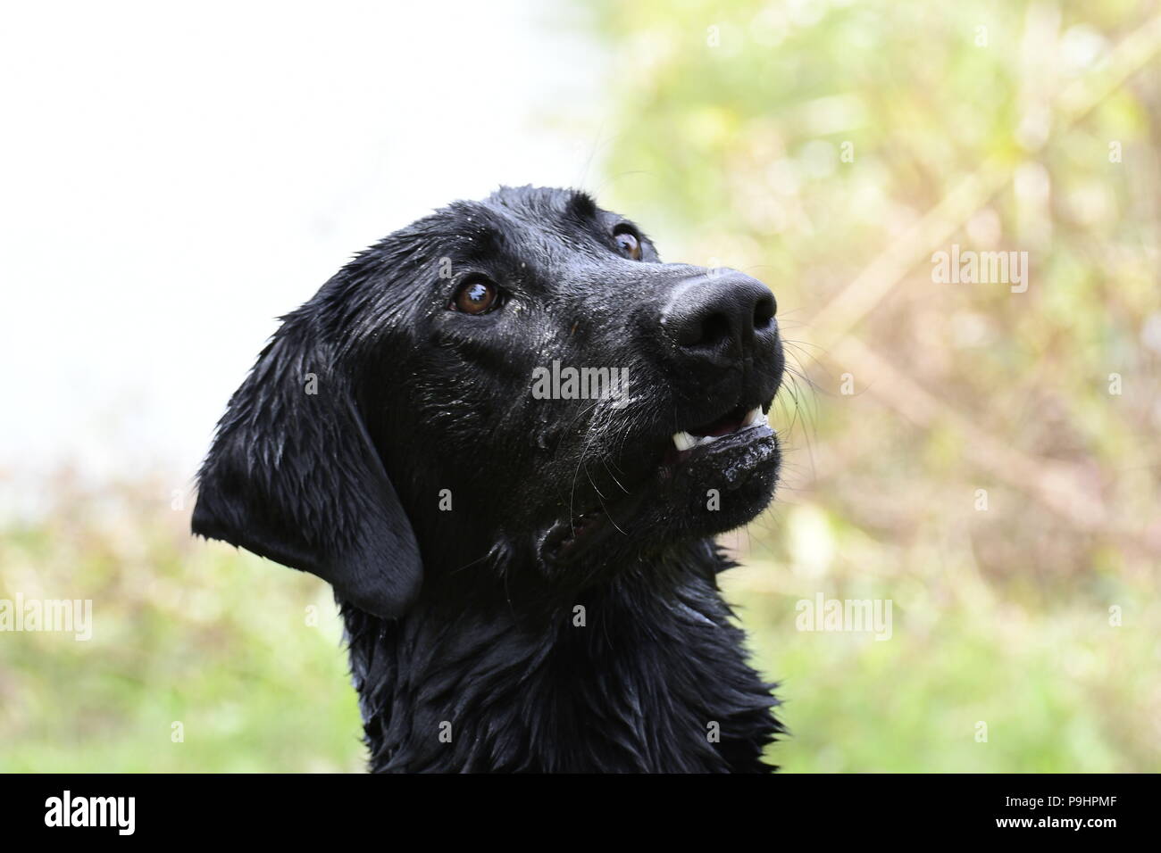 beautiful landscapes and city scapes Stock Photo - Alamy