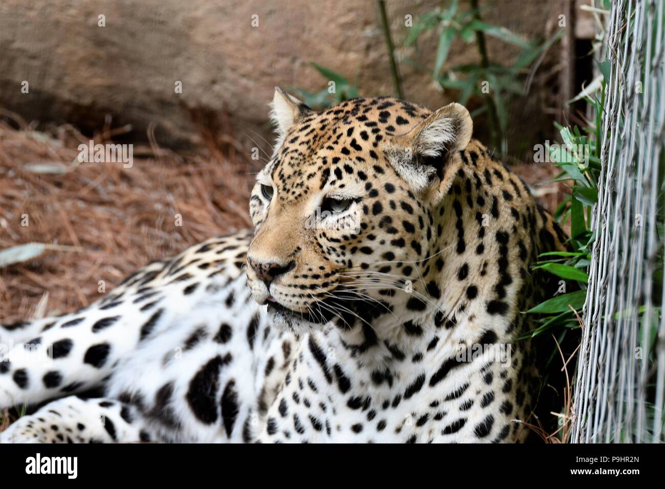 beautiful landscapes and city scapes Stock Photo - Alamy