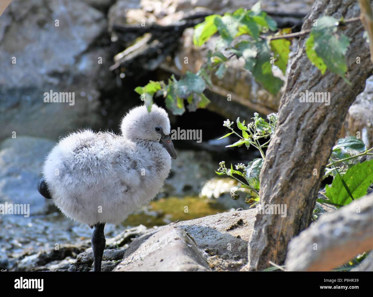 beautiful landscapes and city scapes Stock Photo - Alamy