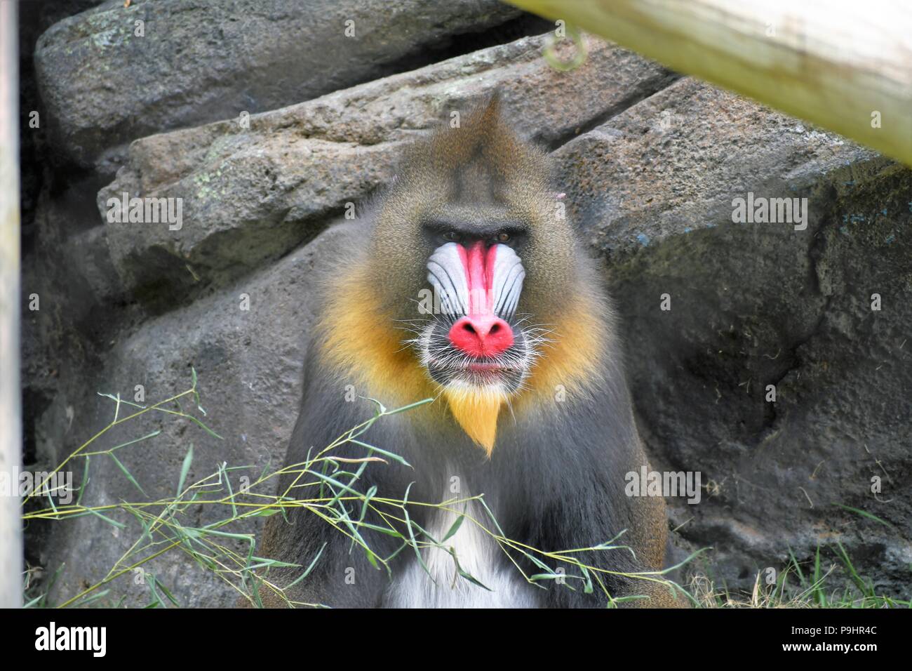 beautiful landscapes and city scapes Stock Photo - Alamy