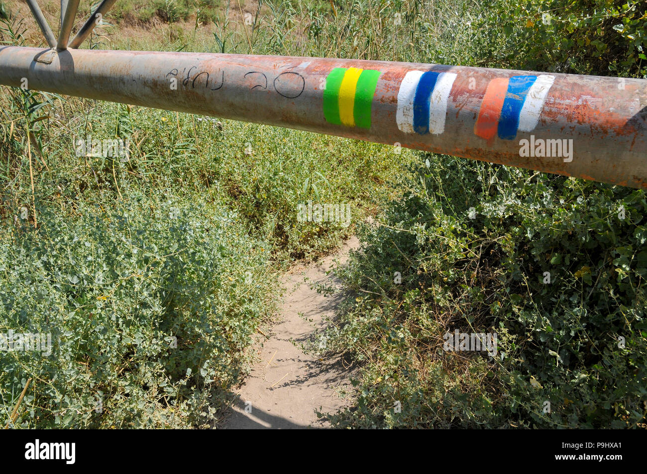 coloured markings of three nature hiking trails. Photographed in the ...