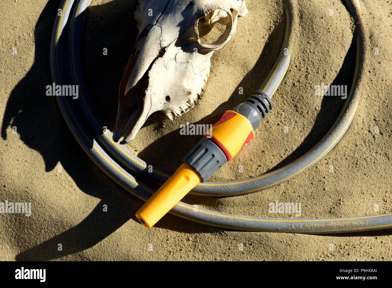 Hosepipes High Resolution Stock Photography and Images - Alamy