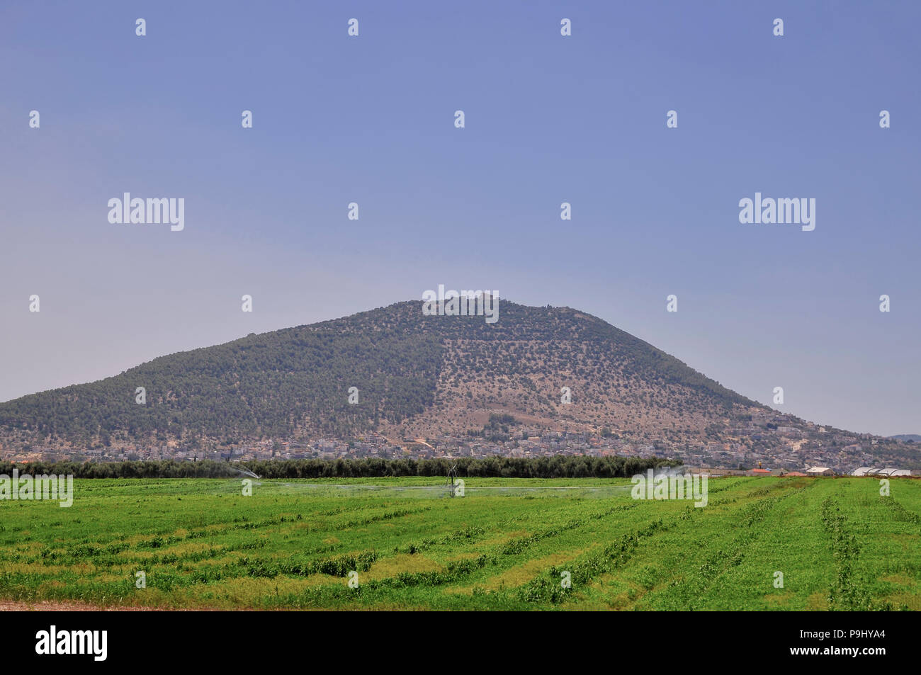 Mount Tabor is located in Lower Galilee, Israel, at the eastern end of ...