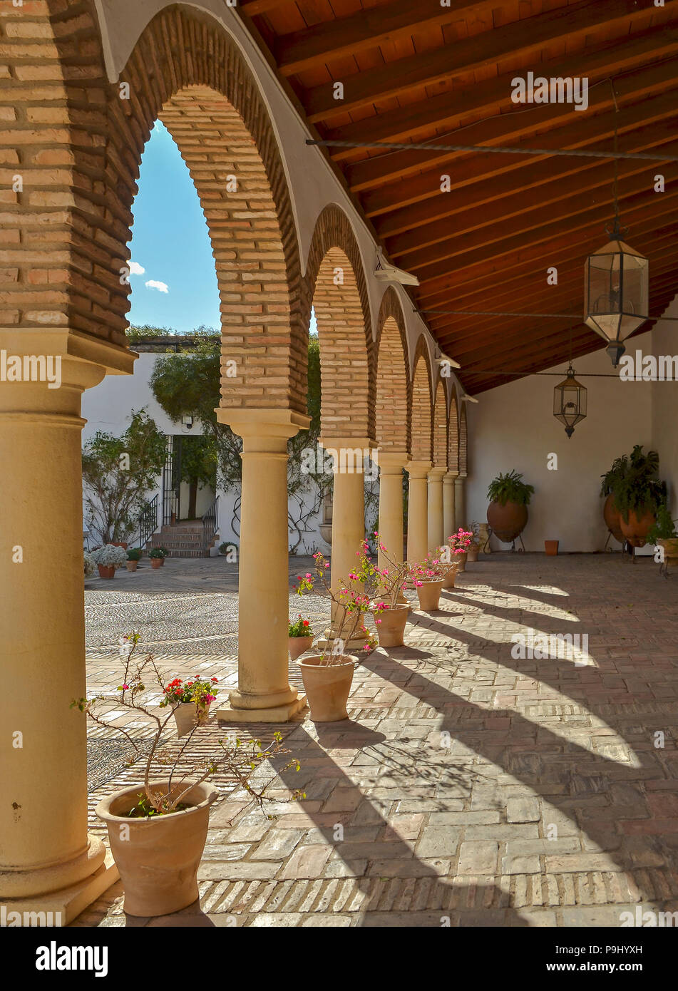 Arched Patio Structures