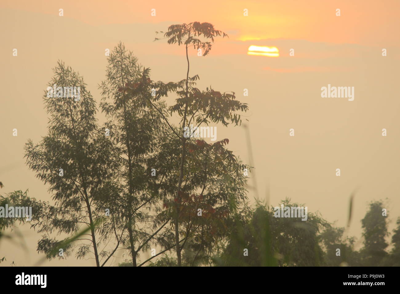 merapi volcano after eruption Stock Photo - Alamy