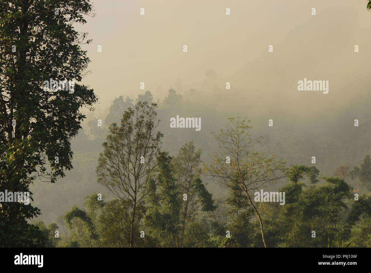 merapi volcano after eruption Stock Photo - Alamy