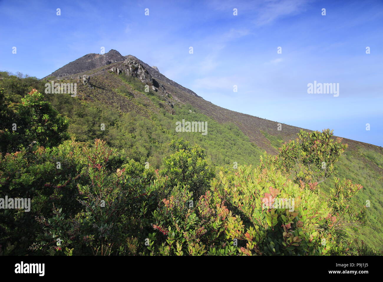 merapi volcano after eruption Stock Photo - Alamy