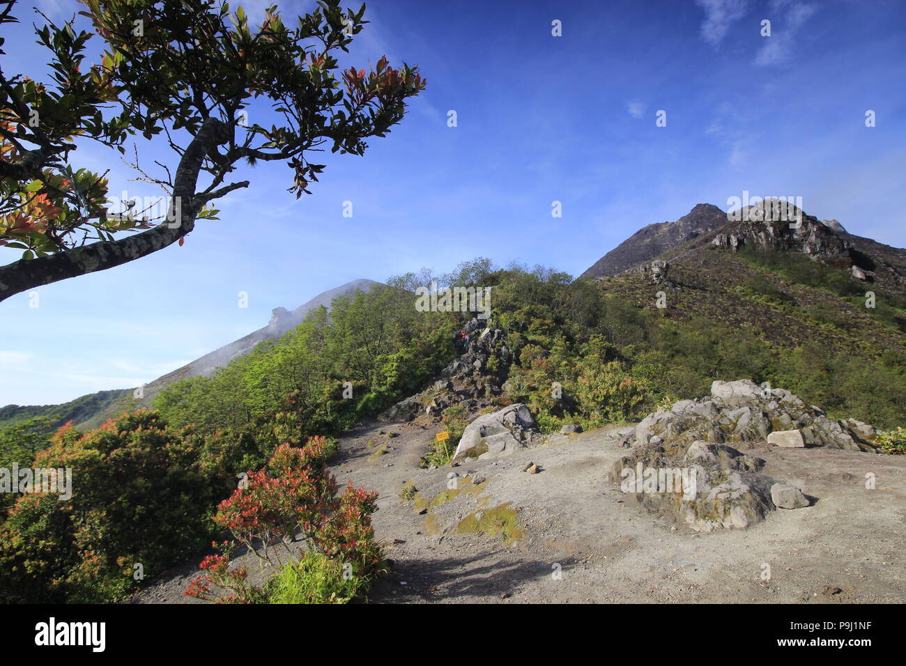 merapi volcano after eruption Stock Photo - Alamy